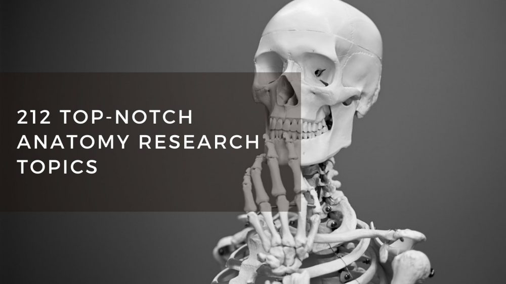  Interesting Anatomy Topics Interesting Topics In Anatomy 2022 11 11